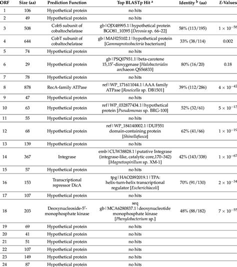 Functional Prediction And Top Blastp Hits Of Mae Yong1326 1 Orfs