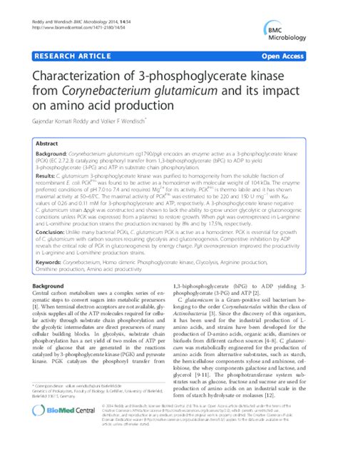 Pdf Characterization Of 3 Phosphoglycerate Kinase From Corynebacterium Glutamicum And Its