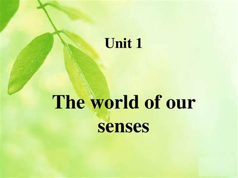 Grammar And Usage Word文档在线阅读与下载 无忧文档