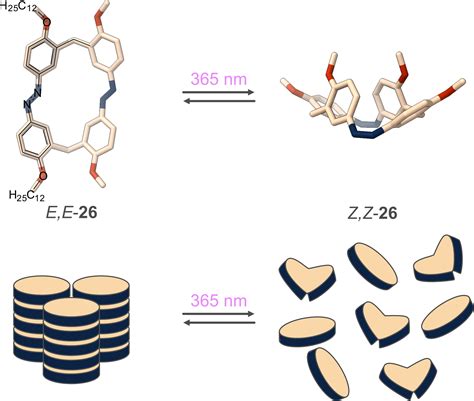 Photoresponsive Supramolecular Cages And Macrocycles Nieland 2023