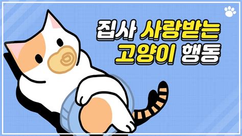 고양이가 집사에게 사랑 받으면 보이는 행동 5가지 Youtube