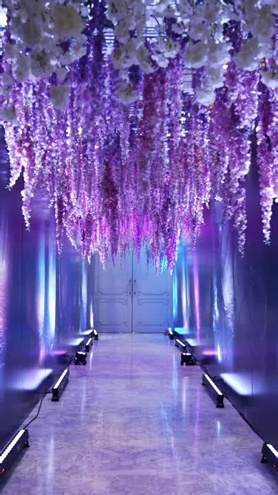 Quadcodelife Quadcoders Quadcode Quadcodecareers Team