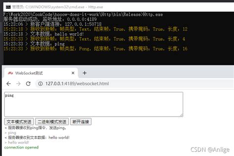 C实现websocket服务器：（03）消息收发的封装c Websocket 消息定义 Csdn博客