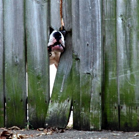 Cisco Health Care Reports Show No Industry Is Safe Uplogix Now Lantronix