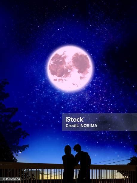밤하늘 풍경 배경에서 빛나는 별과 달과 함께 다리에 껴안고있는 커플의 흑백 실루엣 그림 달 표면에 대한 스톡 벡터 아트 및 기타 이미지 달 표면 실루엣 십대 Istock