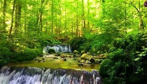 Alex Mix Божественная музыка для сна Исцеляющая релакс музыка для души и медитации Yandex