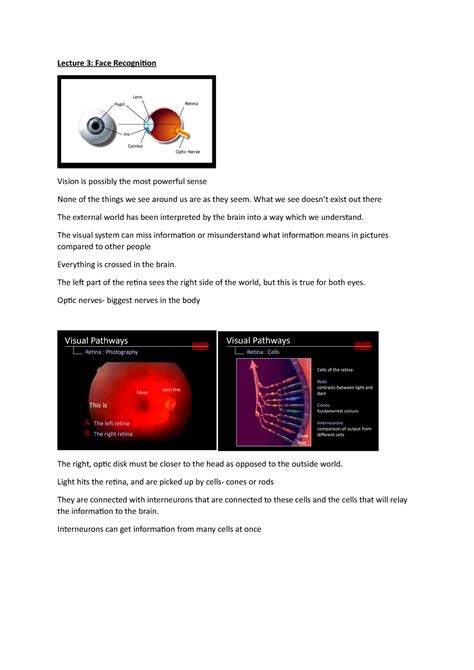 Lecture 4 Face Recognition Lecture 3 Face Recognition Vision Is Possibly The Most Powerful