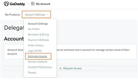 How To Give Another Person Domain Access To Your Godaddy Account