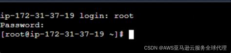 Aws 使用ec2串行控制台连接 Csdn博客