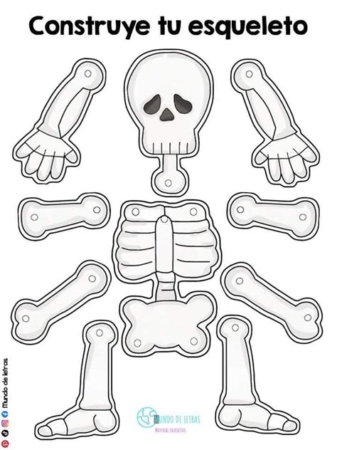 Esqueleto Dibujo Para Armar