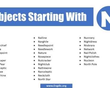 Objects That Begin With N Archives Engdic