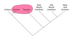 File Fig Svg Wikimedia Commons File Fig Svg Wikimedia Commons