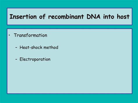 PPT Genetic Engineering Recombinant DNA Technology PowerPoint Presentation ID
