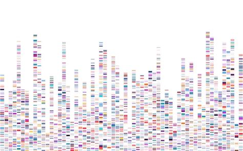 Premium Vector Dna Test Infographic Genome Sequence Map