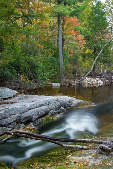 River Passage Wall Mural Murals Your Way