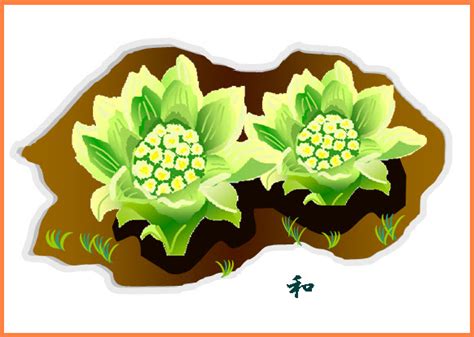 Seiginakanishixnc