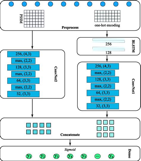 Predicting Subcellular Location Of Protein With Evolution Information
