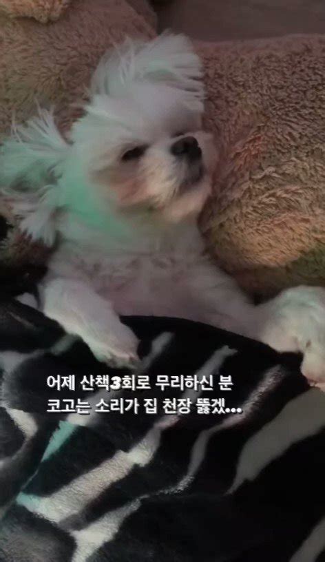 필라멘트 Phillament Exit9797 Twitter