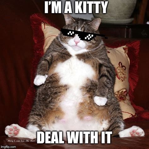 Fat Cat Birthday Memes Dilu The Fat Cat Added A New Photo