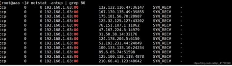 Syn洪水攻击syn攻击结果 Csdn博客