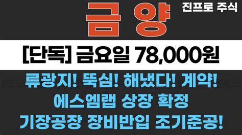 금양 긴급속보 4695배터리 수율테스트 통과 계약 1000터집니다 대응전략분석 금양 금양주가전망 금양매도가 금양리튬광산 대박주 포스코홀딩스 진프로