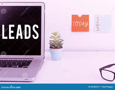 Conceptual Caption Leads Business Overview Demographic Information Of Customer Interested In