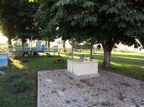 ПРОДАЖА САДОВОДЧЕСКИХ ХОЗЯЙСТВ ПРОДАЖА САДЫ ИНТЕНСИВНОГО ТИПА КУПИТЬ ОРОШАЕМЫЕ САДЫ В