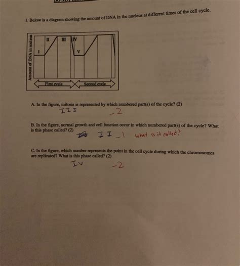 Solved 1 Below Is A Diagram Showing The Amount Of Dna In