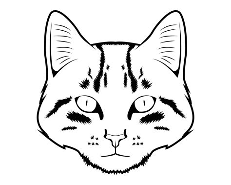 Cat Drawing Vector Illustration 11011731 Vector Art At Vecteezy