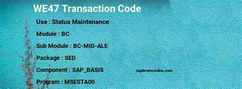 WE47 SAP Tcode For Status Maintenance