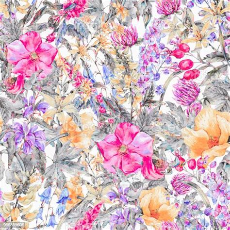 수채화 여름 약 꽃 야생화입니다 흰색 배경 자연 인사말 카드에 고립 된 식물 완벽 한 패턴입니다 화려한 꽃다발 0명에 대한 스톡