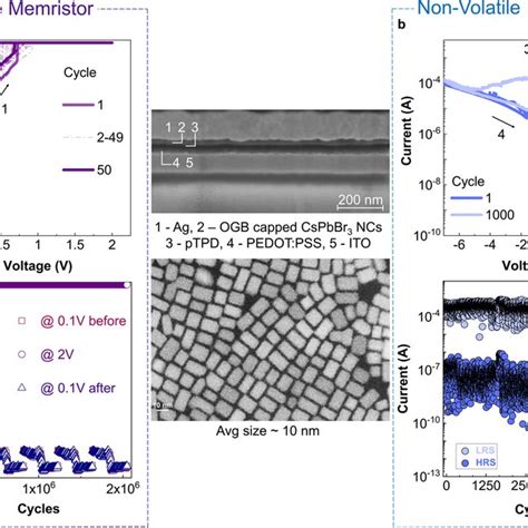 Reconfigurable Halide Perovskite Memristor The Device Structure Download Scientific Diagram
