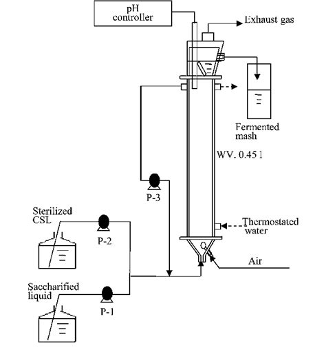 Ethanol Fermentation Diagram