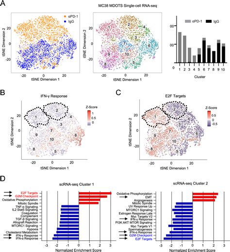 Figure 2 From Dynamic Single Cell Rna Sequencing Identifies Immunotherapy Persister Cells