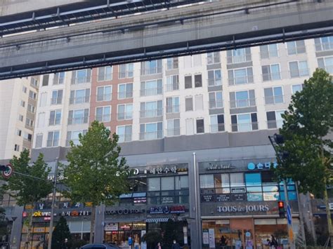 대구남산역미용실 살롱디에서 기분전환 대구그레이스펌 네이버 블로그