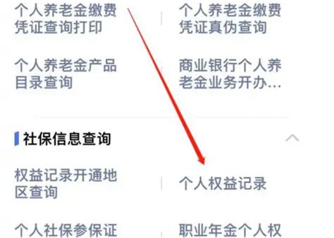 掌上12333怎么查社保交了多少年 掌上12333查询个人社保信息步骤历趣