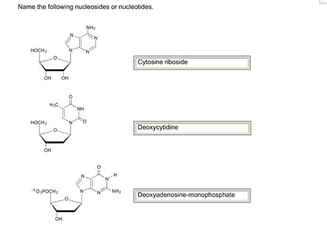 Solved Name The Following Nucleosides Or Nucleotides