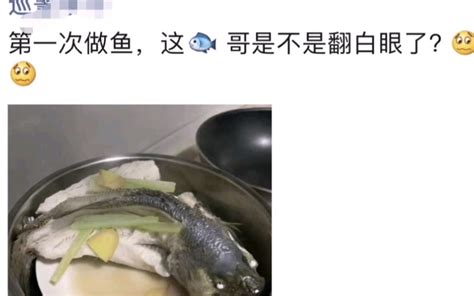 鱼你这么做是不对的 辣个董叔 辣个董叔 哔哩哔哩视频