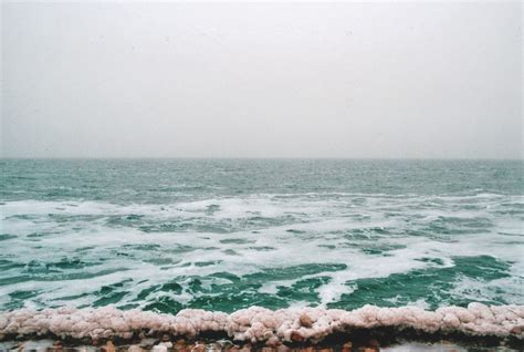 Llllllllllllllllllllllllllllllllllllllllll Li