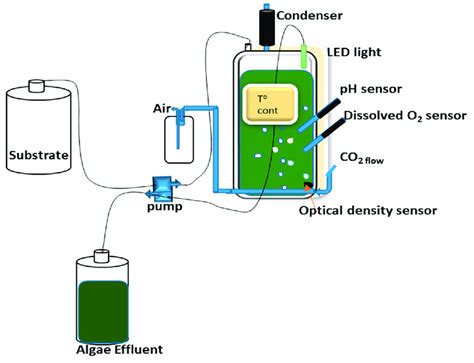 Schematic Experimental Set Up Of The Chemostat Download Scientific