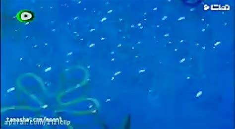 باب اسفنجی تر و خشک کردن گری