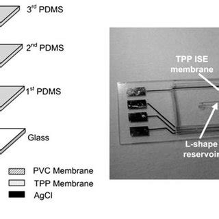 Sensor Design A Illustration Of Layer By Layer Sensor Construction Download Scientific
