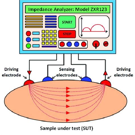 Pdf Bioelectrical Impedance And The Frequency Dependent Current Conduction Through Biological