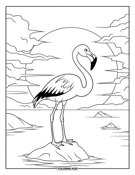 210 Desenhos De Flamingo Para Colorir Para Crianças E Adultos Pdfs