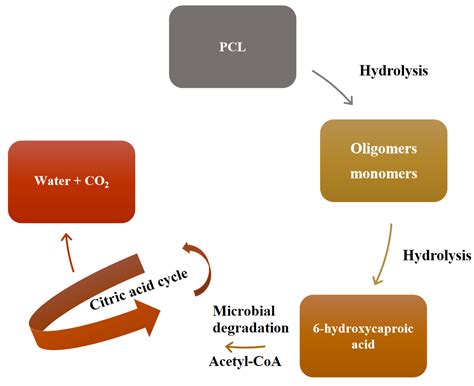 Polycaprolactone Compositesblends And Their Applications Especially In Water Treatment