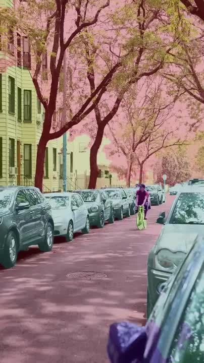 Paddlepaddle For Image Segmentation Muhammad Midhat Posted On The