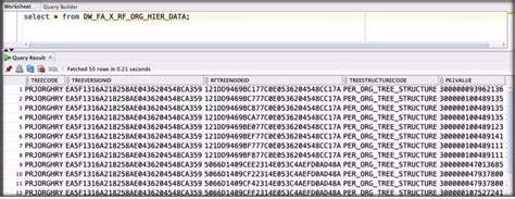 setting up data security in oracle fusion hcm analytics with organization hierarchy area of
