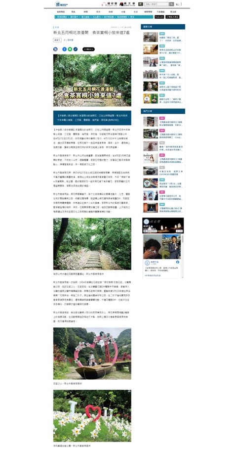 新北五月桐花浪漫開 食茶賞桐小旅來這7處－鏡週刊客新聞 新北市客家數位館