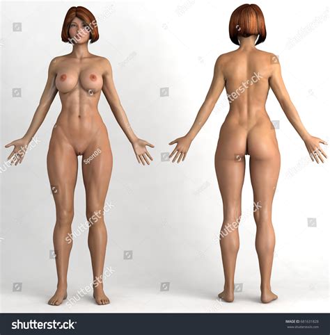 D Rendering Nude Woman Anatomical Pose Stock Illustration Shutterstock