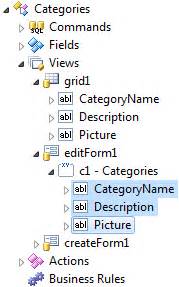Code On Time Development Project Explorer Data Fields